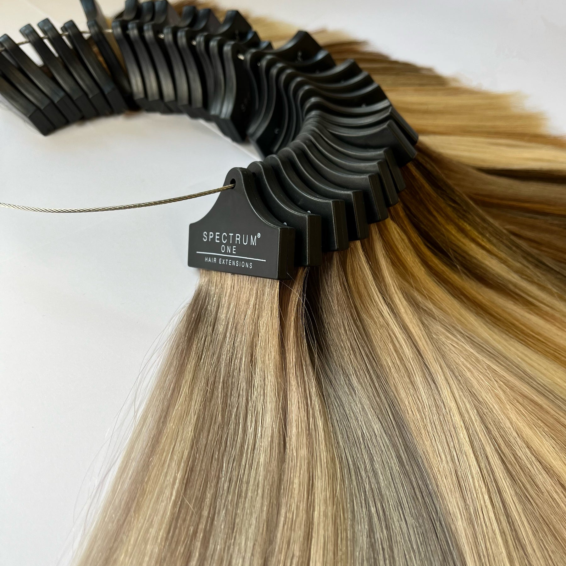 Premium Colour Swatch Ring – Spectrum One Hair